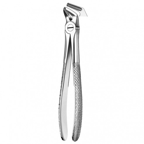 8 LOWER PREMOLAR FORCEPS - CARL MARTIN
