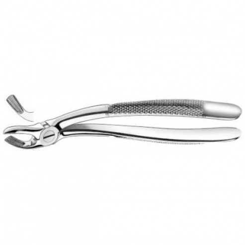 19 UPPER WISDOM TEETH FORCEPS (1pc) - CARL MARTIN