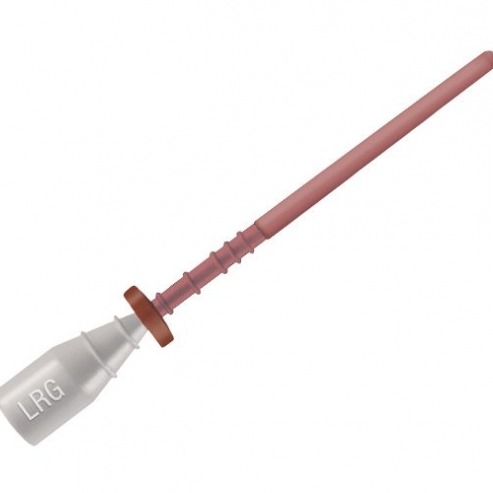 Gutta-percha Guttacore tips for WAVEONE GOLD obturator - DENTSPLY