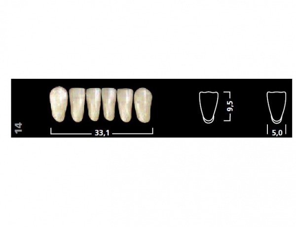 Anterior inferior IVOSTAR teeth 13 - IVOCLAR VIVADENT