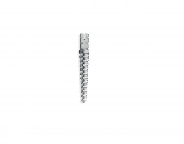 Unimetric Radicular Titanium Pins (25 pcs) - MAILLEFER