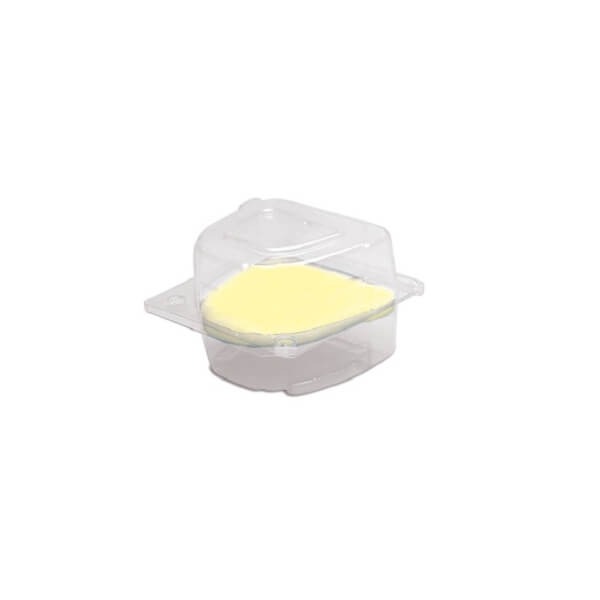 Dental Model Box (50 pcs) - MESTRA