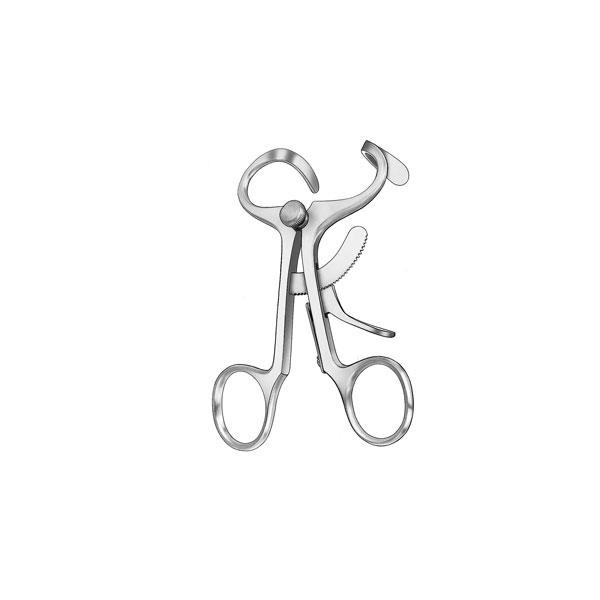 513 RETR.LENG.DOYEN-MOLT - CARL MARTIN