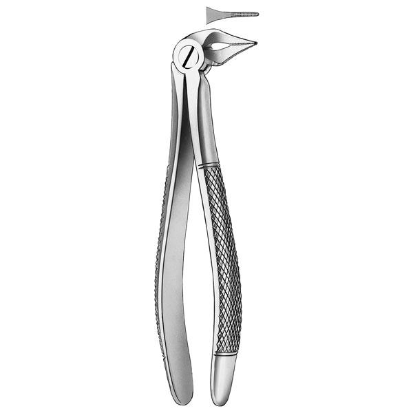 136 LOWER ROOT FORCEPS - CARL MARTIN