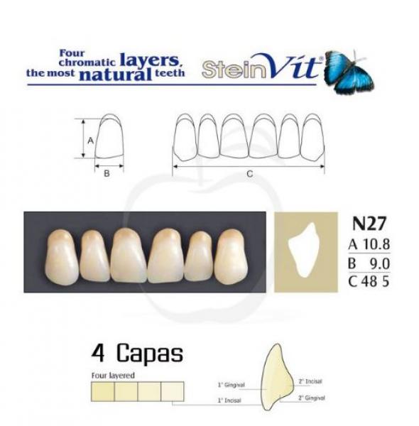New Stetic Steinvit N27 UP Teeth - NEW STETIC