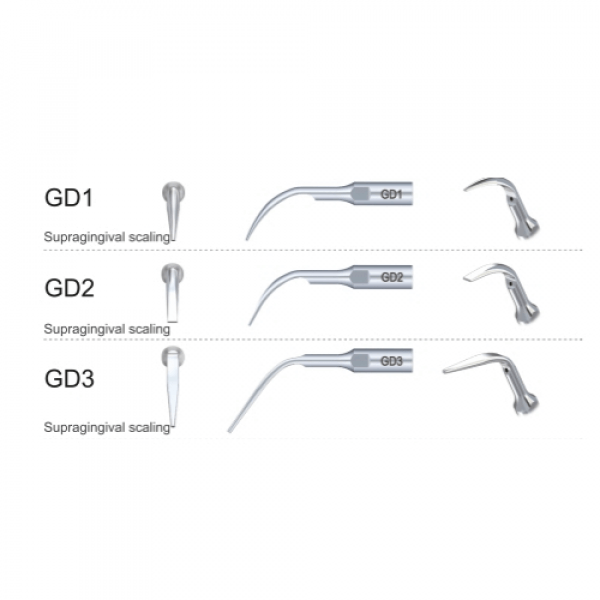 GD1 Scaler - Campatible with Satelec Nº 1 Ultrasound Points (5u.) - DTE
