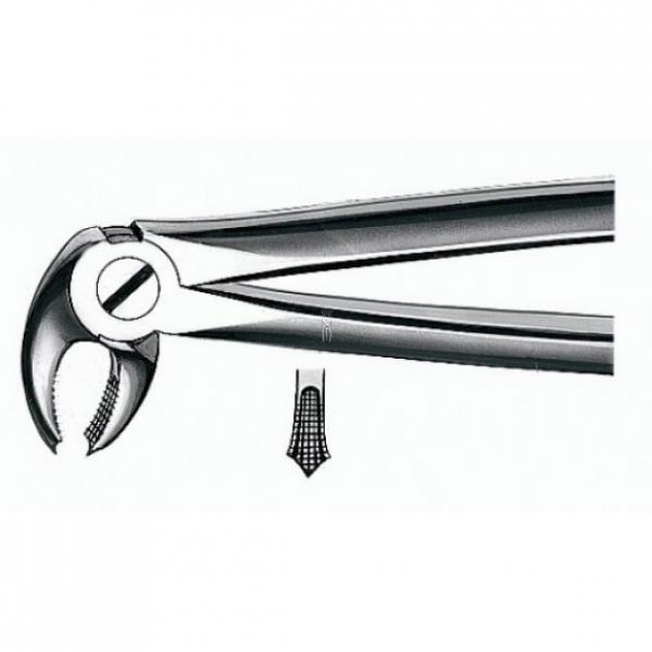 E22 FORCEPS N.22 MOLAR INF. - CARL MARTIN