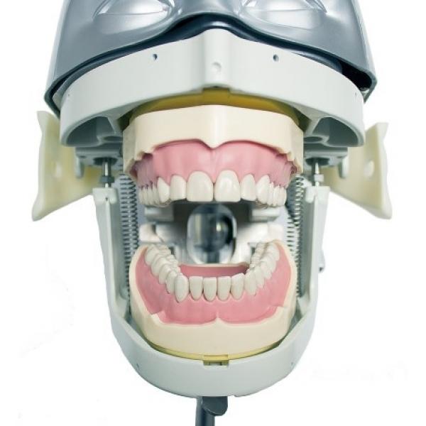 FULL PHANTOM KIM BADER (1u.) - Bader