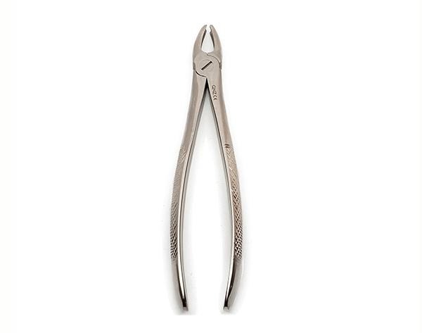 Forceps Figure 1 - Stainless Steel - GNZ Dental