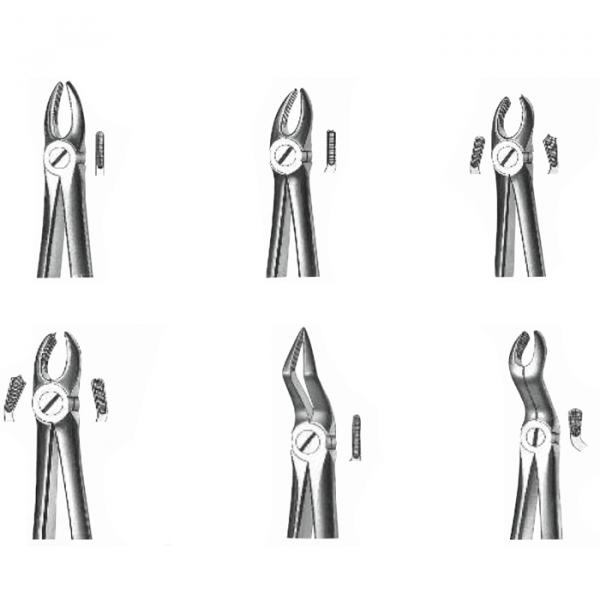 Forceps for upper maxillary extraction - KDM
