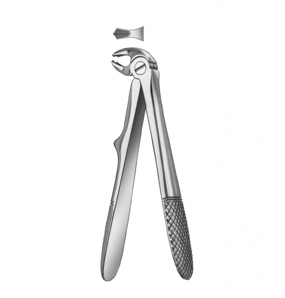 Paediatric Dentistry Forceps Nº280/5 for Lower Incisors - CARL MARTIN