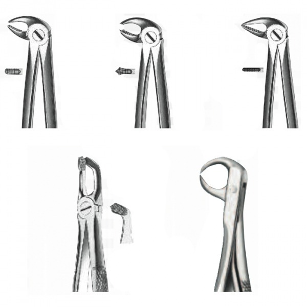 Forceps for upper maxillary extraction - KDM