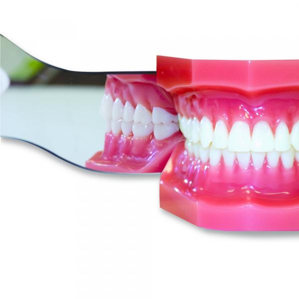 Lateral Crystal Photo Mirror (1u.) - ORTHO TECHNOLOGY