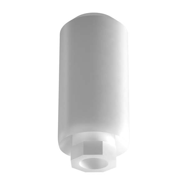Castable Non-Rotative Abutment Direct to Implant - Octogonal Internal ...