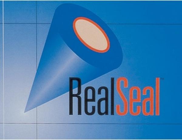 PUNTAS ACCES FF REAL SEAL - SYBRONENDO