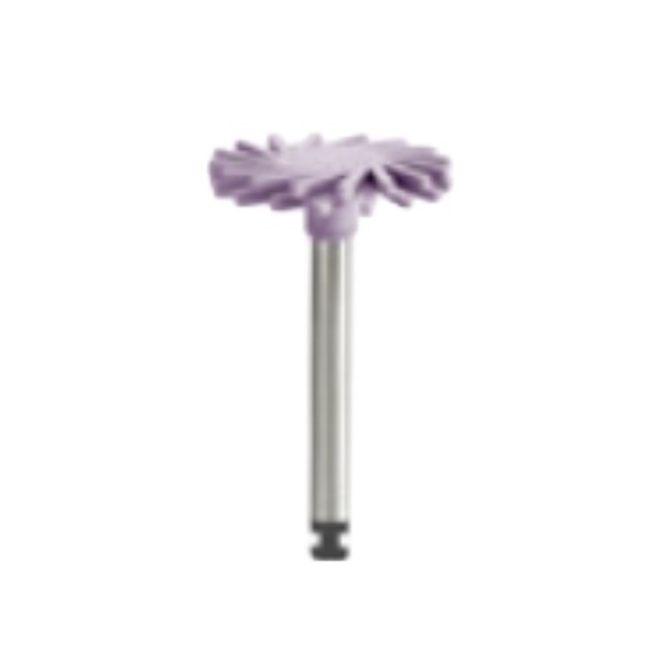Shapeguard: Diatech Polishers for Polishing - Coltene