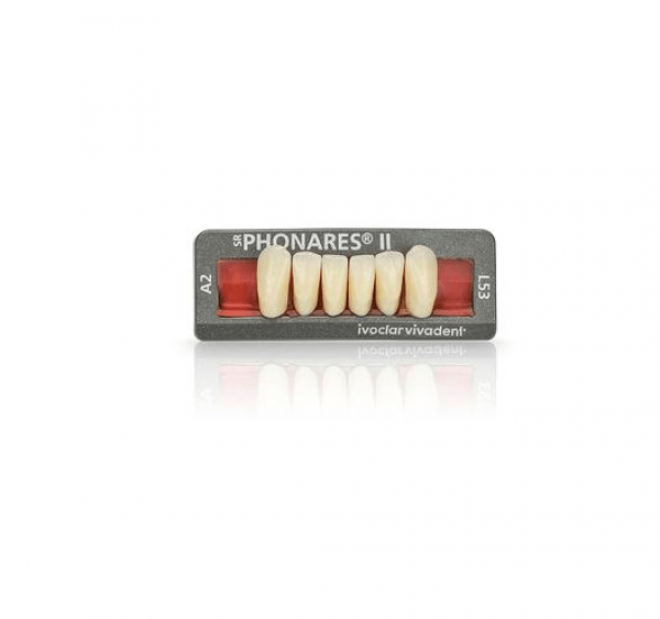 Lower anterior SR PHONARES II teeth (6 units) - IVOCLAR VIVADENT