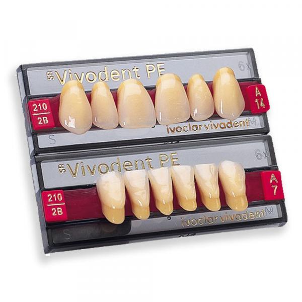 Upper anterior VIVODENT S PE teeth A68 - IVOCLAR VIVADENT