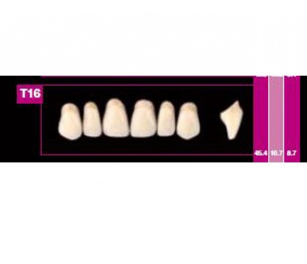 COSMO upper anterior teeth T12 HXL - DEGUDENT (Dentsply Sirona Group)