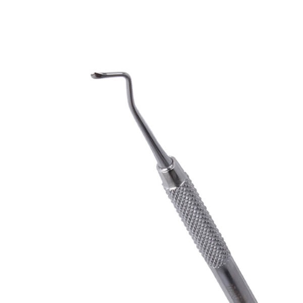 Cleoid Discoid Amalgam Carver - Bader