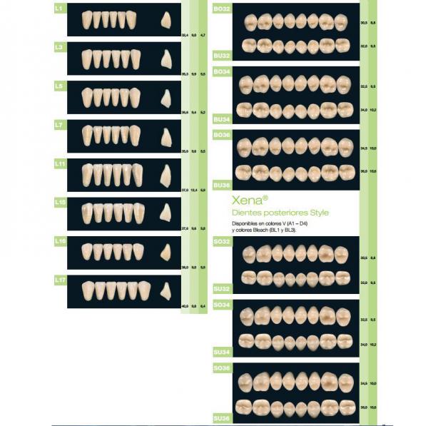 VIVODENT S PE anterior A66 superior teeth - IVOCLAR VIVADENT