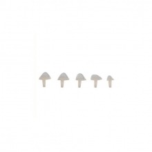 Plastic matrix strip - Dental Supplies and Equipment - Dentaltix