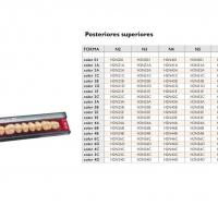 Acrylic Teeth - Dental Supplies and Equipment - Dentaltix