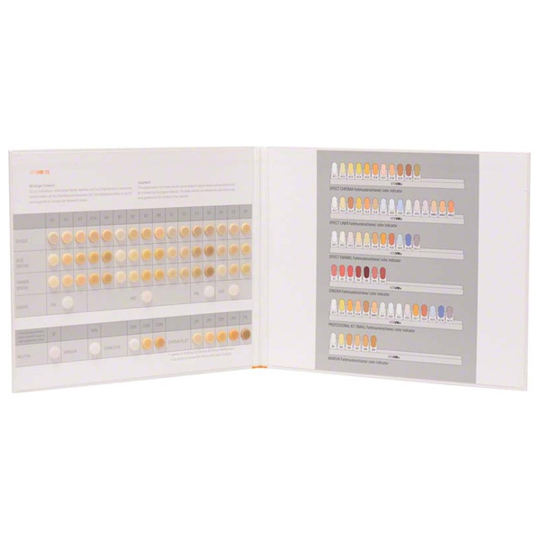 Color for the IPS Emax range guides gingiva - IVOCLAR VIVADENT