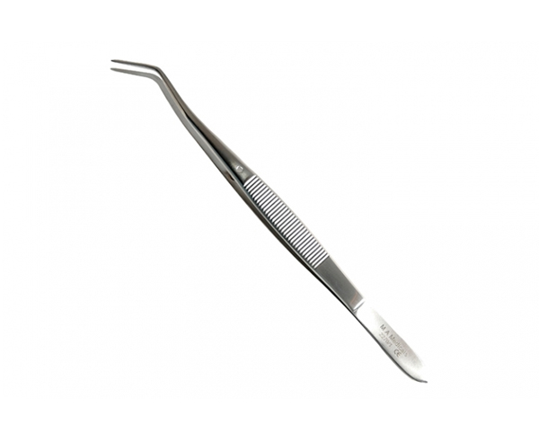 Pinzas Estriadas Meriam MEDICALINE - Dentaltix
