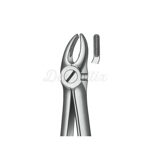 Forceps nº7 para Premolar Superior CARL MARTIN - Dentaltix