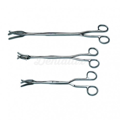 Tenazas Dentales para Esterilizar MESTRA - Dentaltix