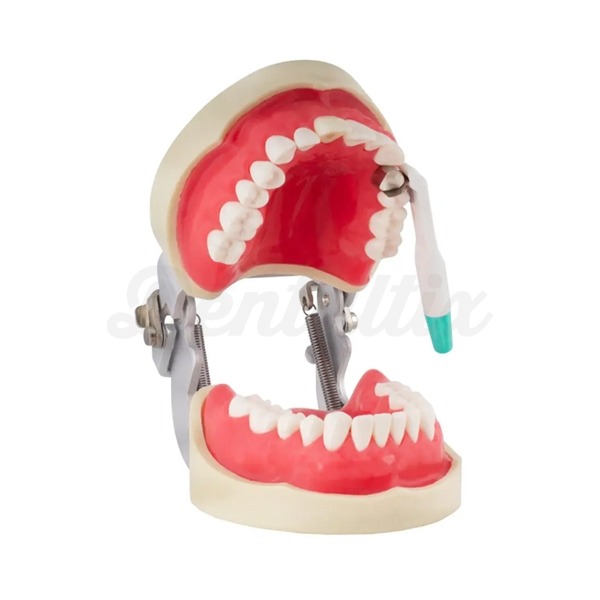 Easy Matrix: Matriz para Restauraciones (20 uds) BADER - Dentaltix