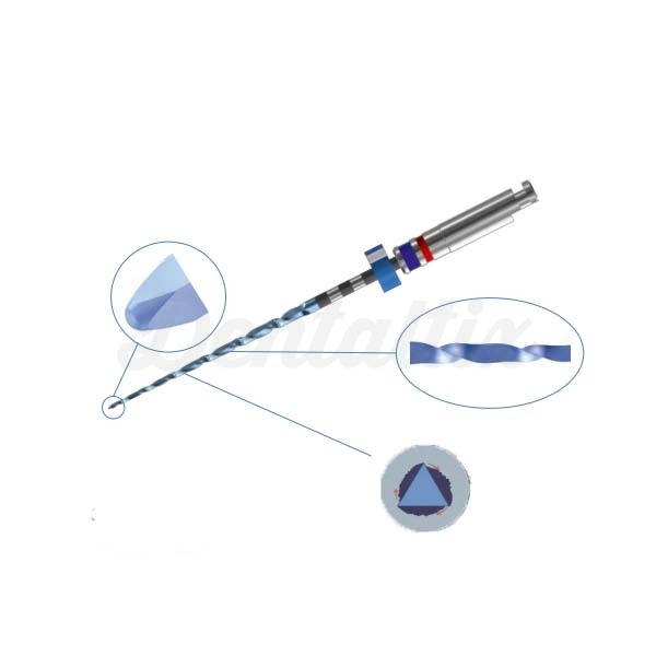 Race Evo: Limas Niti Estériles (6 uds) FKG - Dentaltix