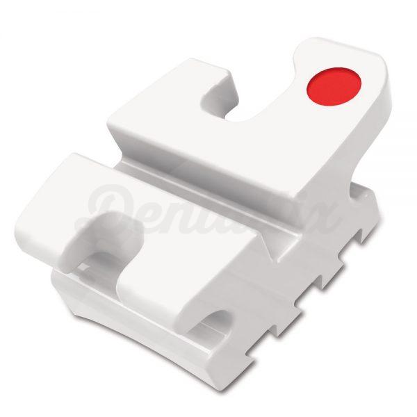 Tipodonto con Bracket Cerámico Reflections ORTHO TECHNOLOGY - Dentaltix
