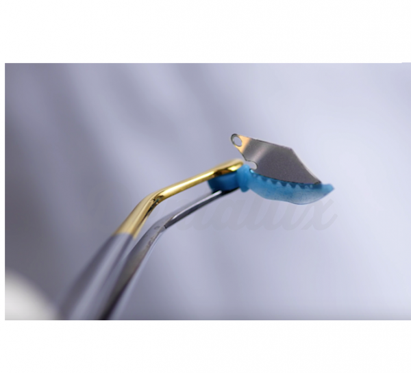 Palodent Plus WedgeGuard - Matrices sectoriales con Cuña (50ud ...