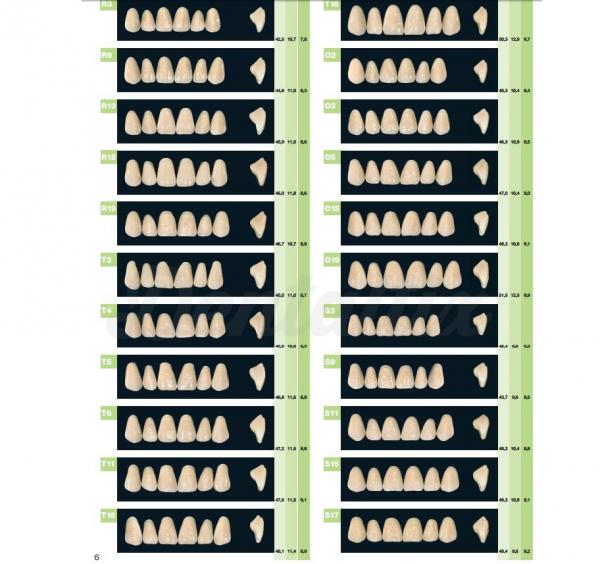 Xena: Dientes de Color A2 DEGUDENT by Dentsply - Dentaltix