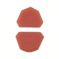 Modelos y Tipodontos Dentales - Dentaltix