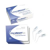 Cementos MTA para endodoncia - Dentaltix