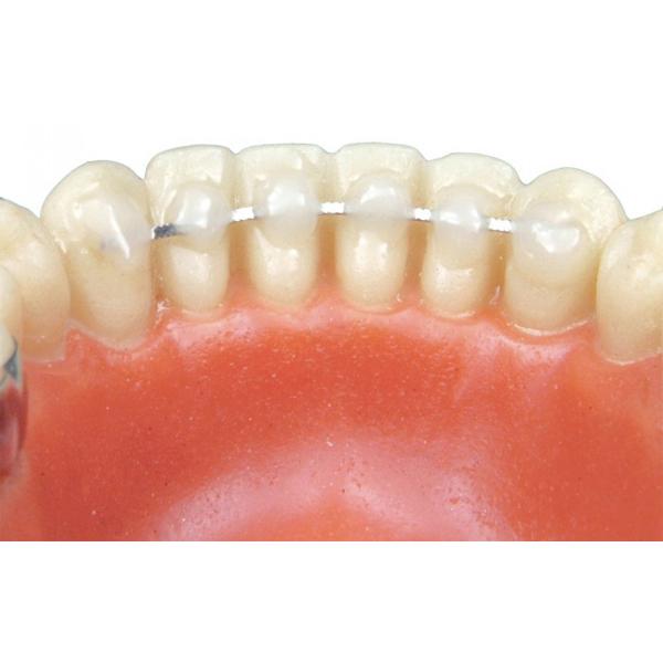 Filo per splintaggio (1,5 m) - LEONE