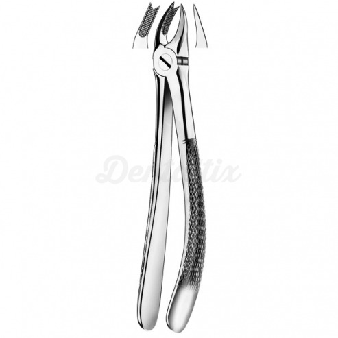 FORCEPS Nº89 PARA MOLAR SUPERIOR DCHA CARL MARTIN - Dentaltix