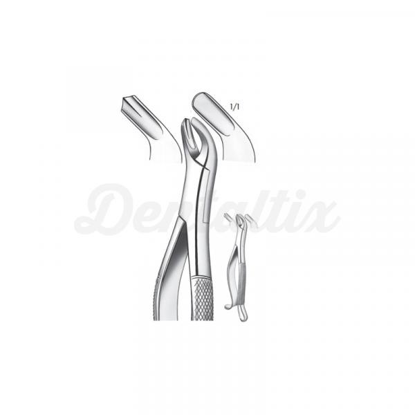 409/15 FORCEPS HARRIS MOL-INF. CARL MARTIN - Dentaltix