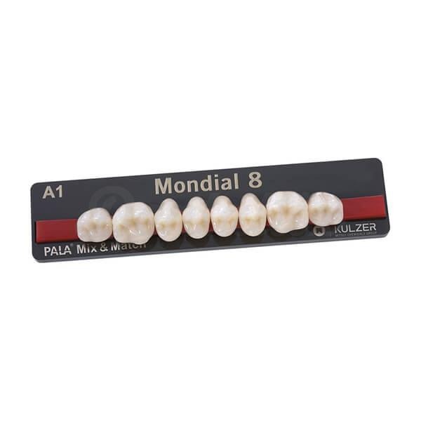 MONDIAL: Dentes Posteriores Superiores 35U Kulzer - Dentaltix