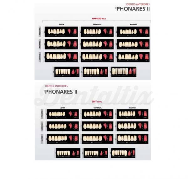 Anterior PHONARES II dentes superiores B82 IVOCLAR VIVADENT - Dentaltix