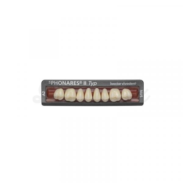 Dentes inferiores posteriores de SR PHONARES II (8u) IVOCLAR VIVADENT ...